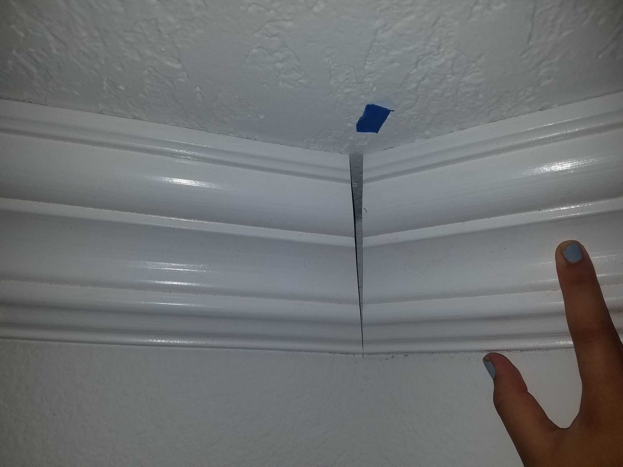 Inside Corner Bull nose ceiling crown molding - DoItYourself.com ...