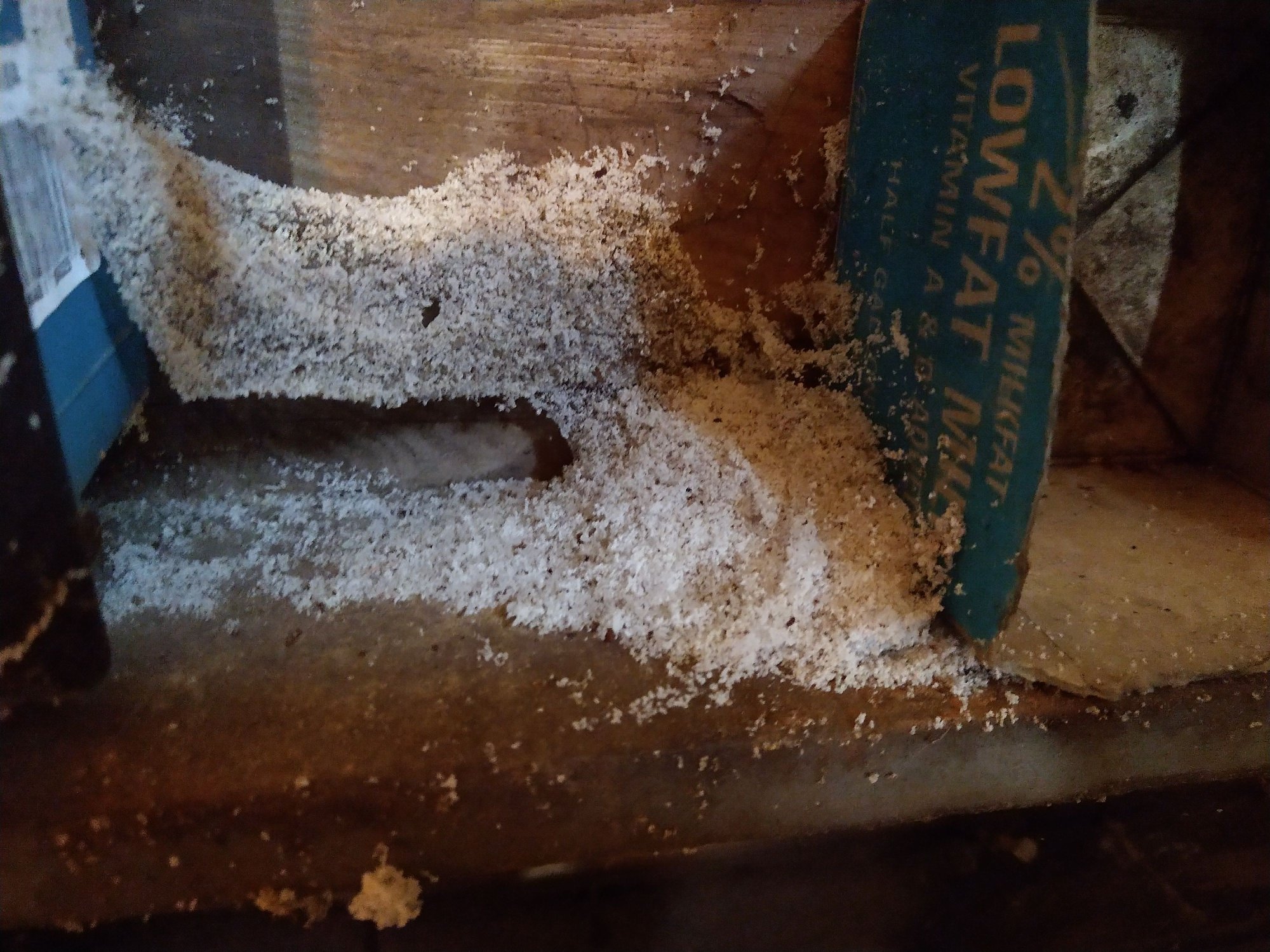 White powder - DoItYourself.com Community Forums