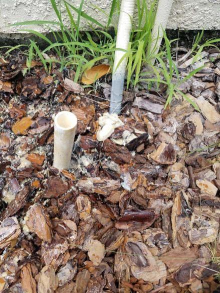 Drain slime identification - DoItYourself.com Community Forums