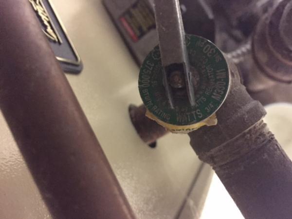 Watts M330-M1 Pressure Relief Valve - DoItYourself.com Community Forums