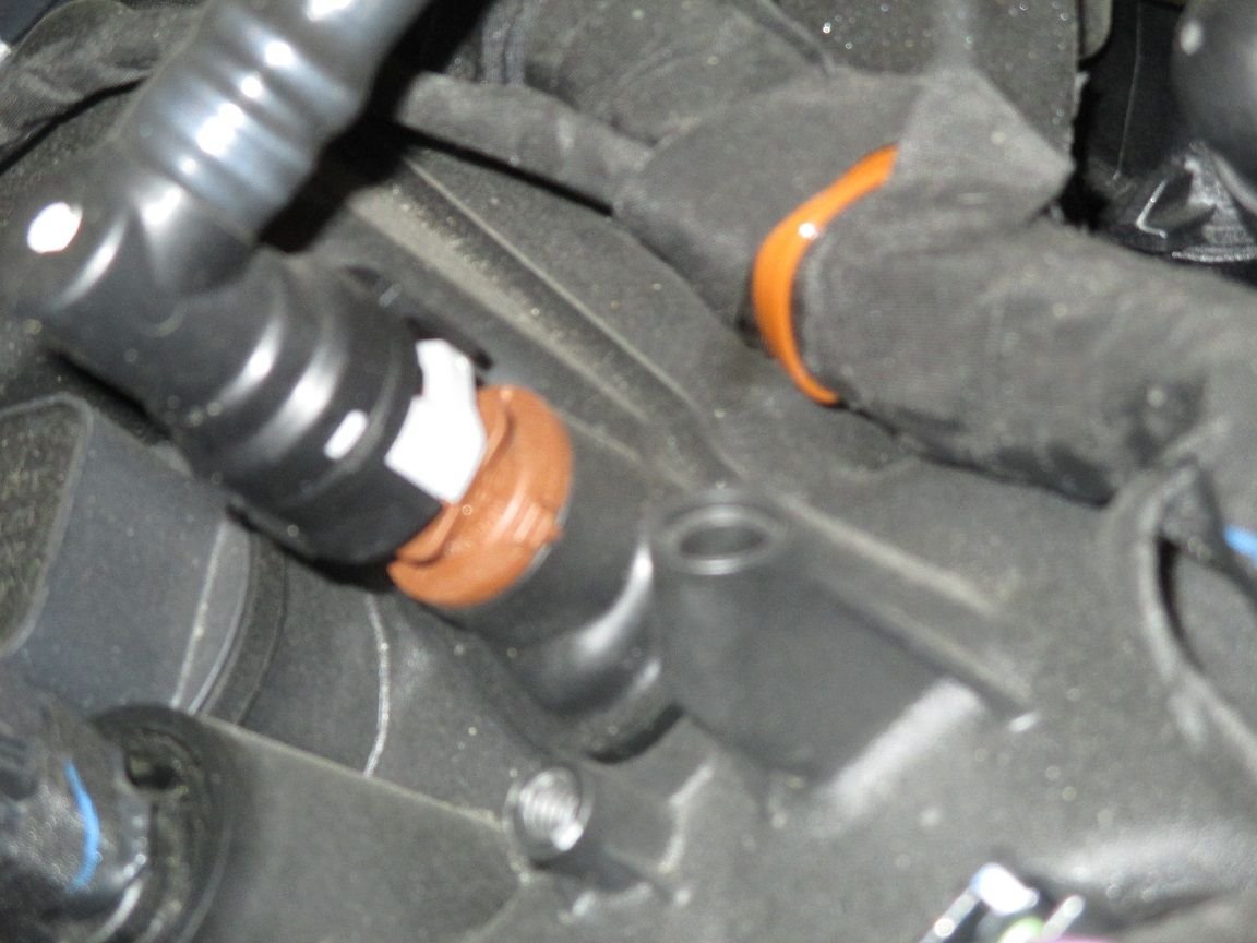 2018 5.0 Engine Cover - Ford F150 Forum - Community of Ford Truck Fans