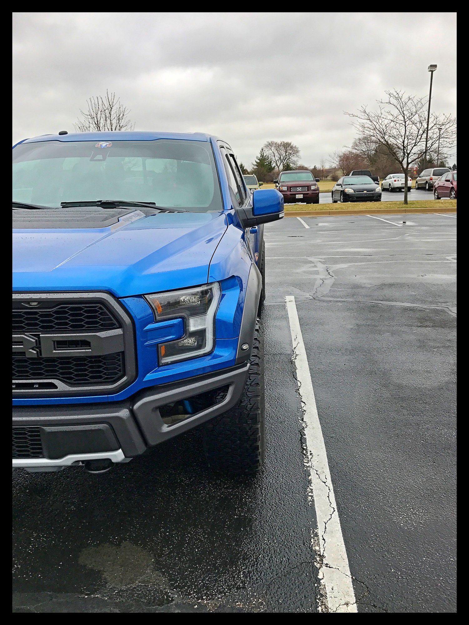 RedX 2017 Lightning Blue Raptor Build Thread - Page 8 - Ford F150 Forum ...