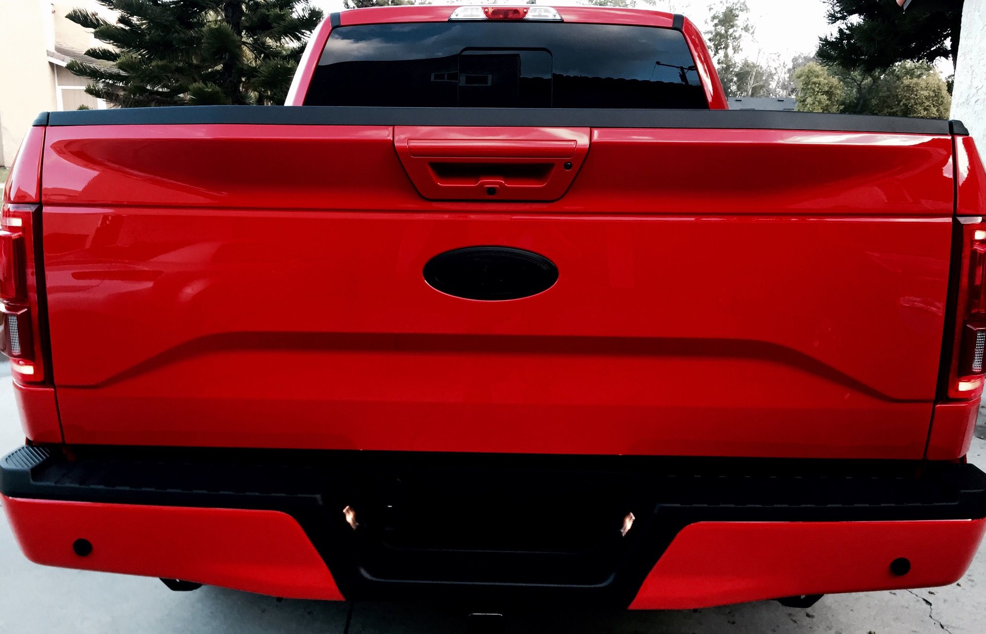 Color matched emblem to sport grille w/ plasti dip - Page 2 - Ford F150 ...