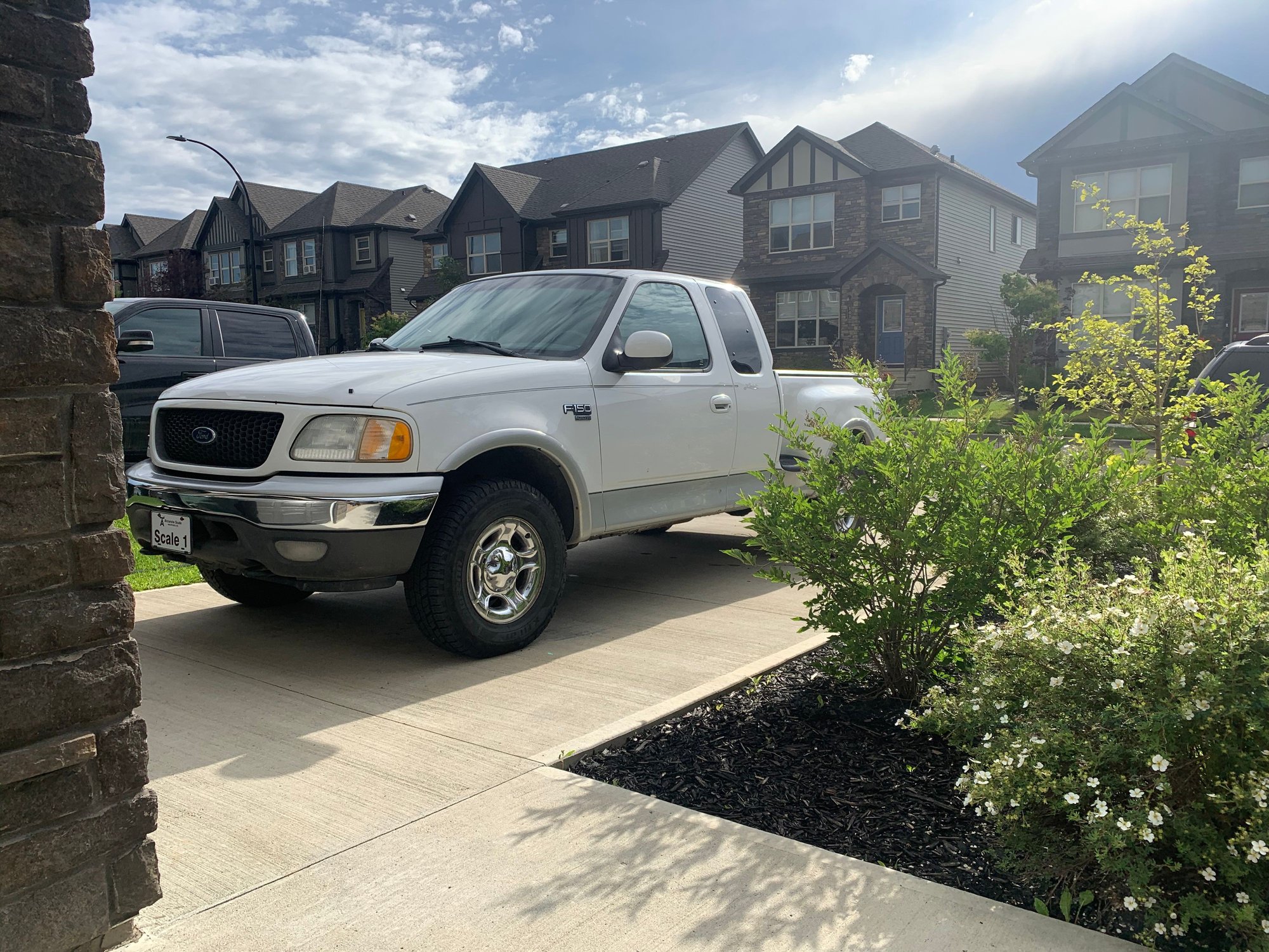 New to the forums here’s my 10th gen - Ford F150 Forum - Community of ...