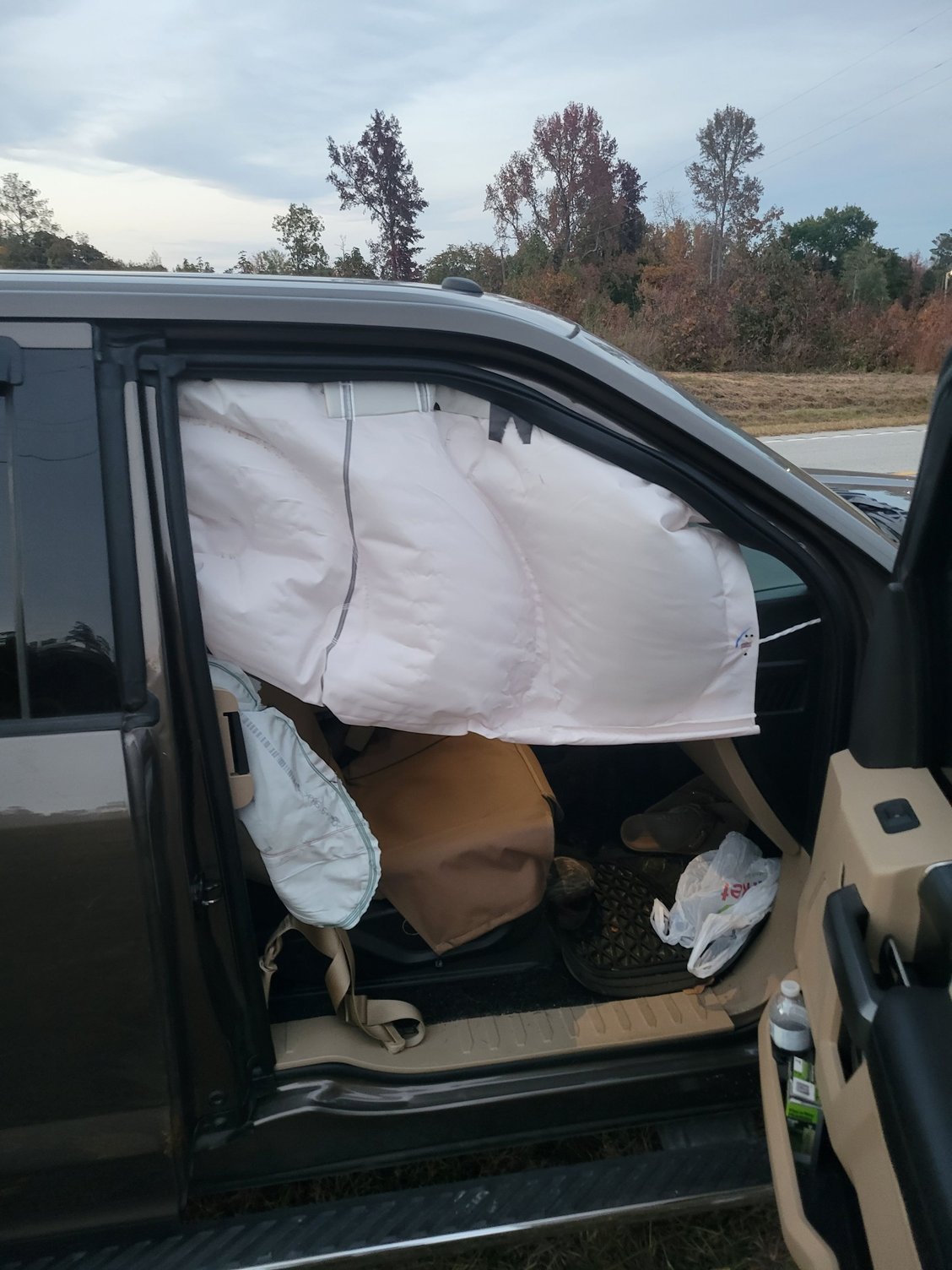 Hit deer - Ford F150 Forum - Community of Ford Truck Fans