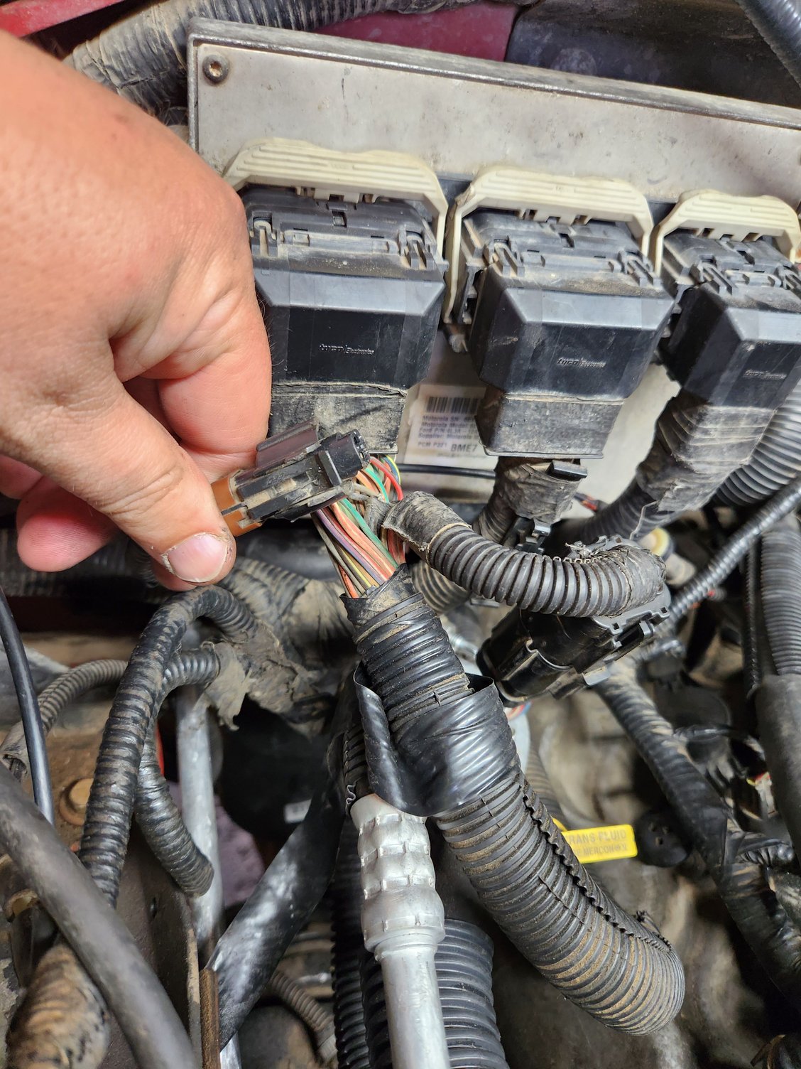 Whats this connector - Ford F150 Forum - Community of Ford Truck Fans