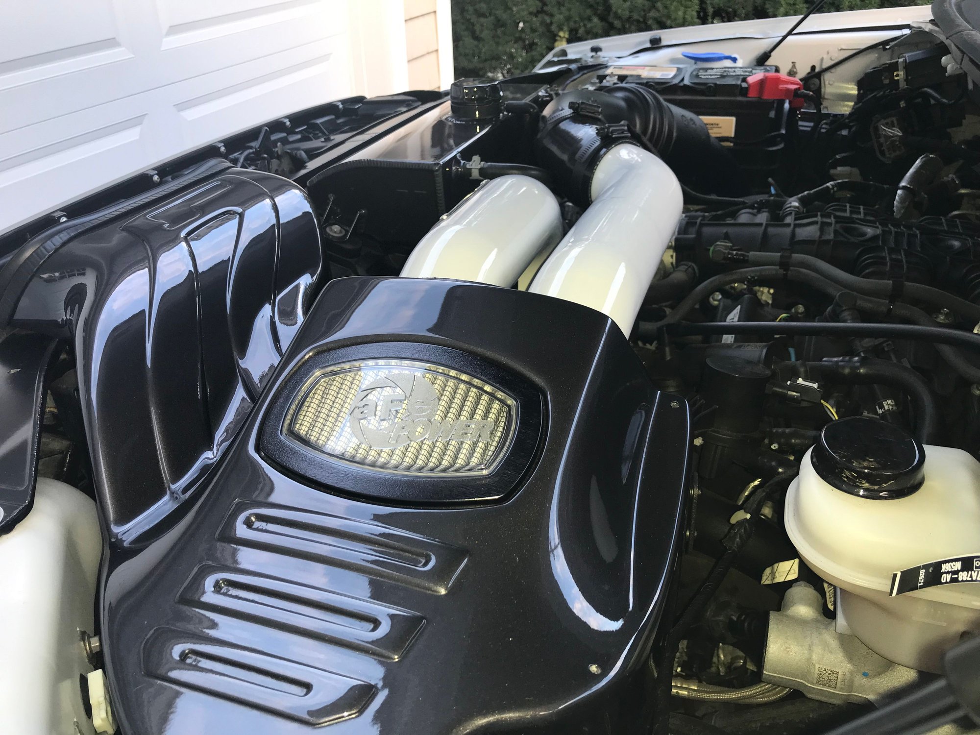Custom interior/engine bay - Page 3 - Ford F150 Forum - Community of ...