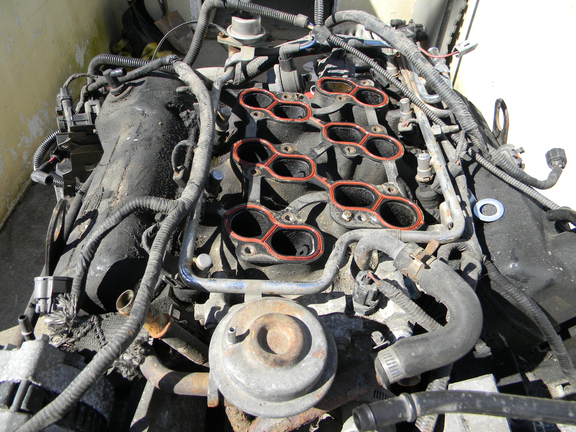 97' F150 4.2 V6 5spd engine rebuild and egr delete - Ford F150 Forum ...