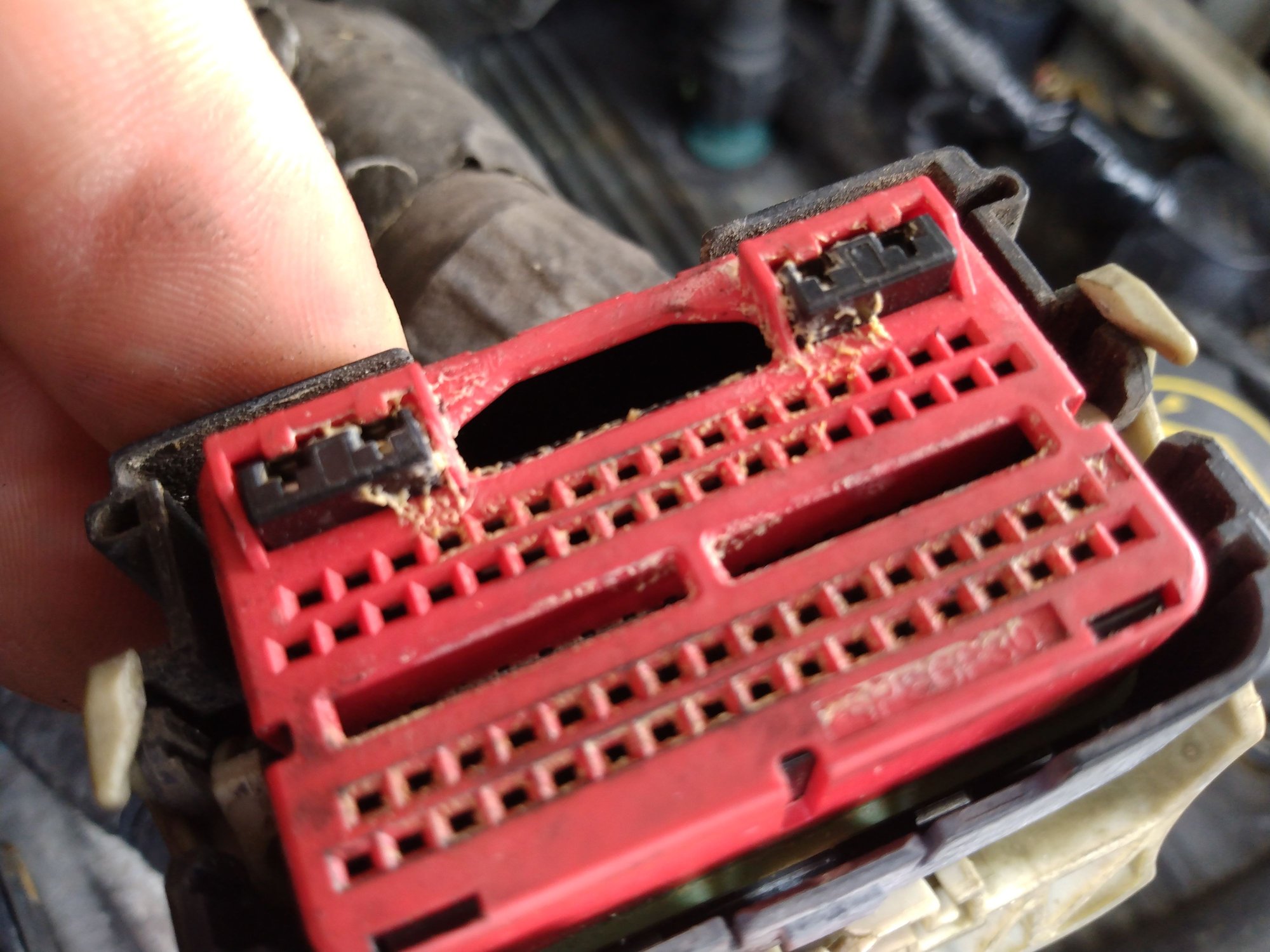 P0351 - ECM? 2005 4.6 L V8 193K Runs Rough, Gone Thru Fuse Box ...