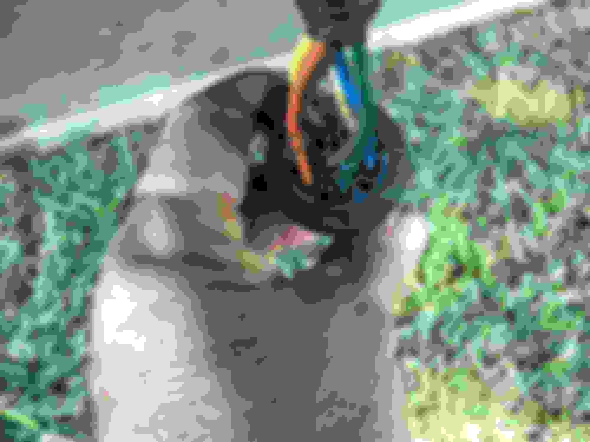 Aux Backup Light Wiring - Ford F150 Forum - Community of Ford Truck Fans