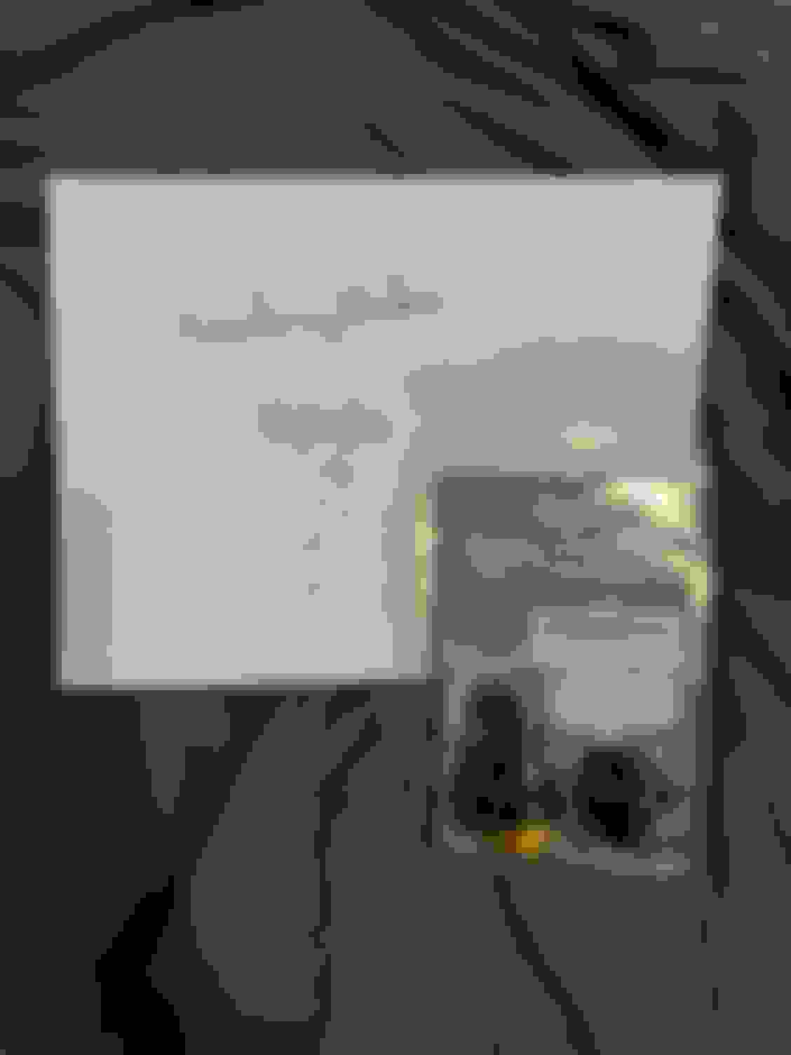 Texas SOLD...Selling Ronin Oil Drain Plug - Ford F150 Forum - Community ...