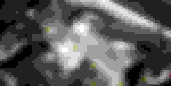 p0122 throttle position sensor code - Ford F150 Forum - Community of ...