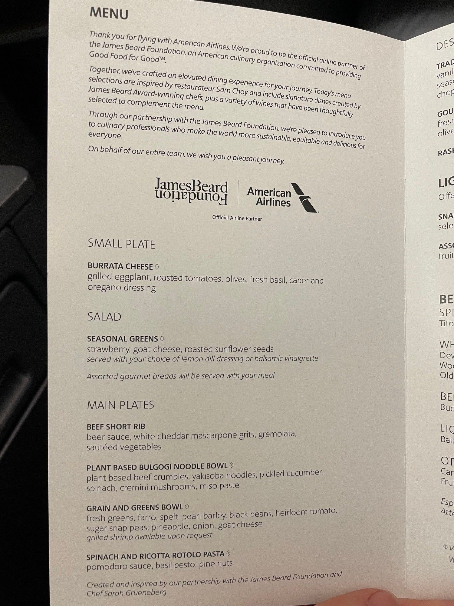 2025 AA Domestic Meal / Meals - menu / photos / etc. (master thread ...