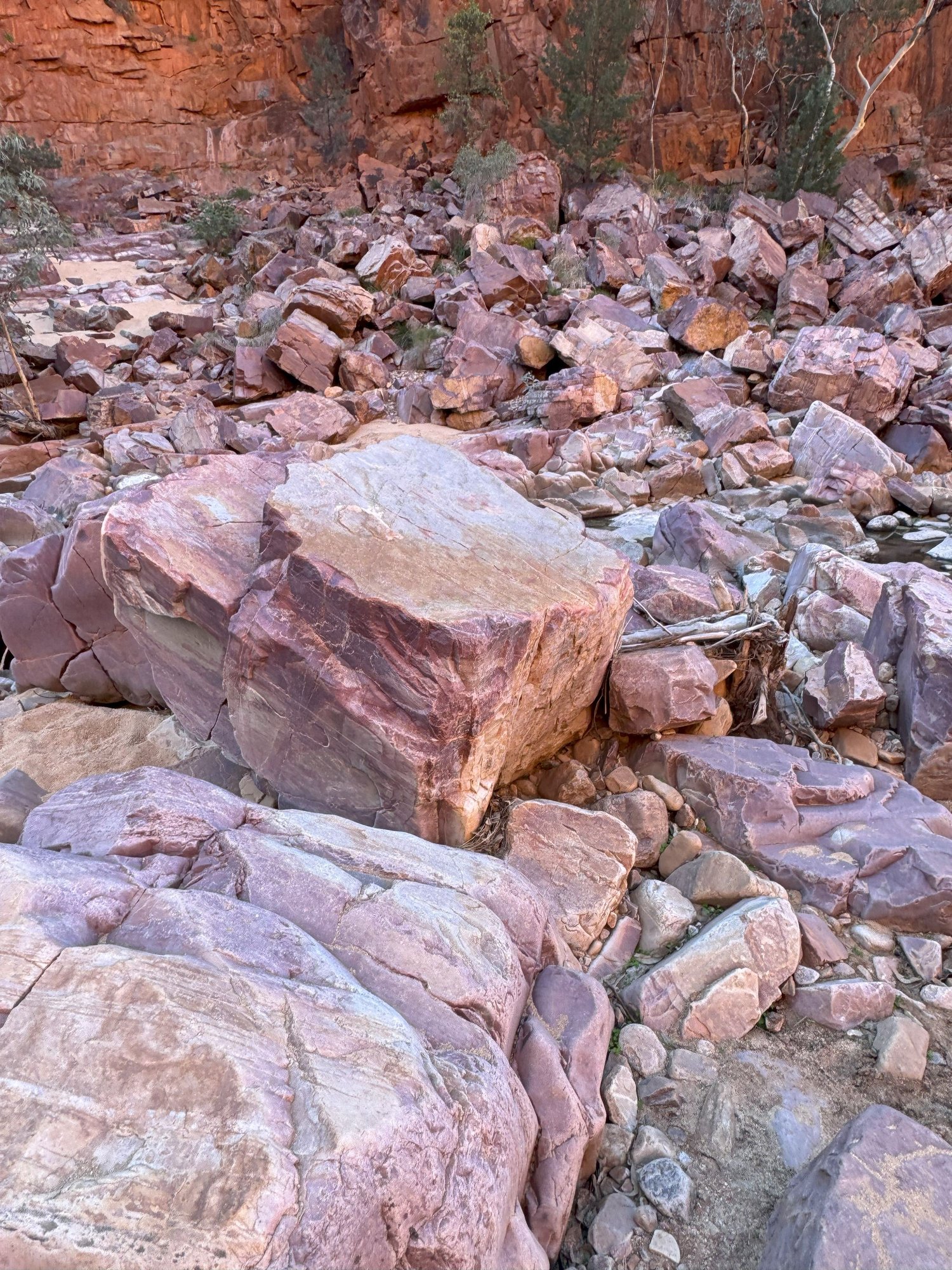 Trip Report Trip Report: Outback Adventure - Page 3 - Fodor's Travel ...