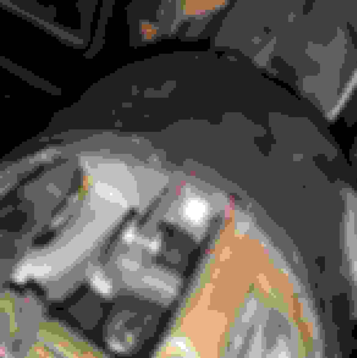 A/T column shifter locked in Park. - Ford Truck Enthusiasts Forums