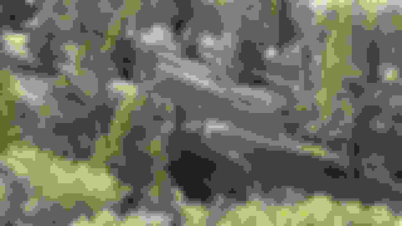 2023 General Chat...... - Page 67 - Ford Truck Enthusiasts Forums