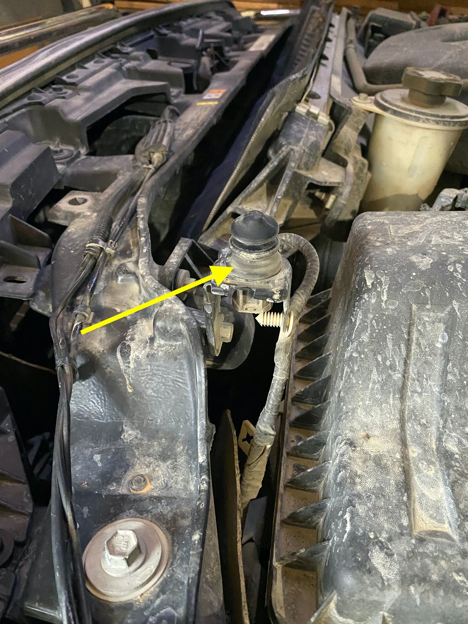 Hood switch location - Ford Truck Enthusiasts Forums