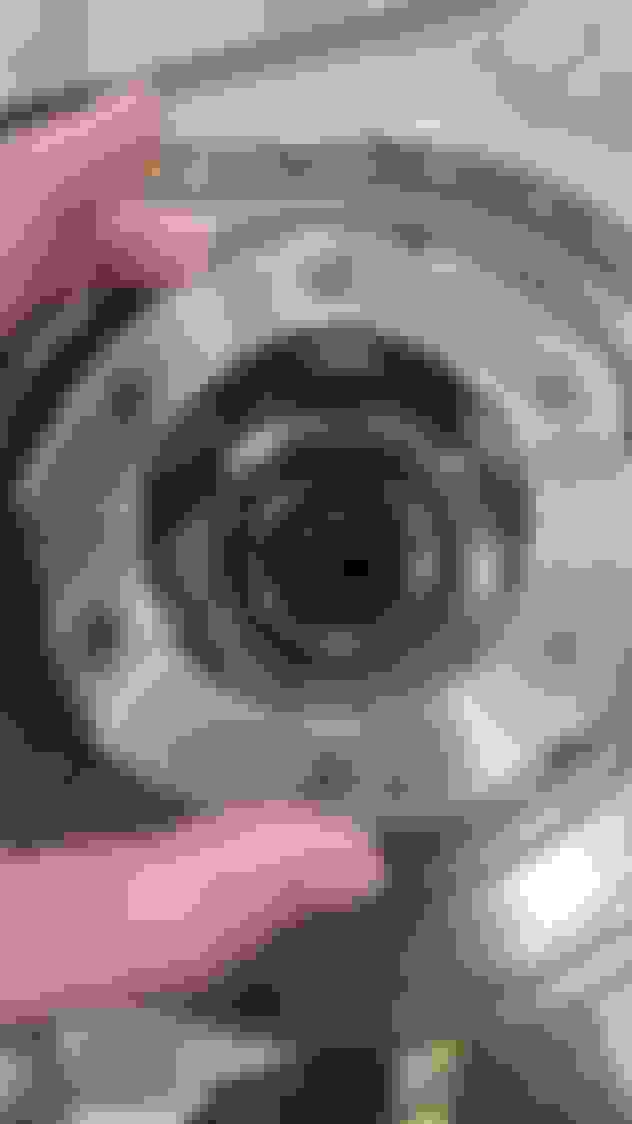 4R100 Full build-up and tech - Ford Truck Enthusiasts Forums