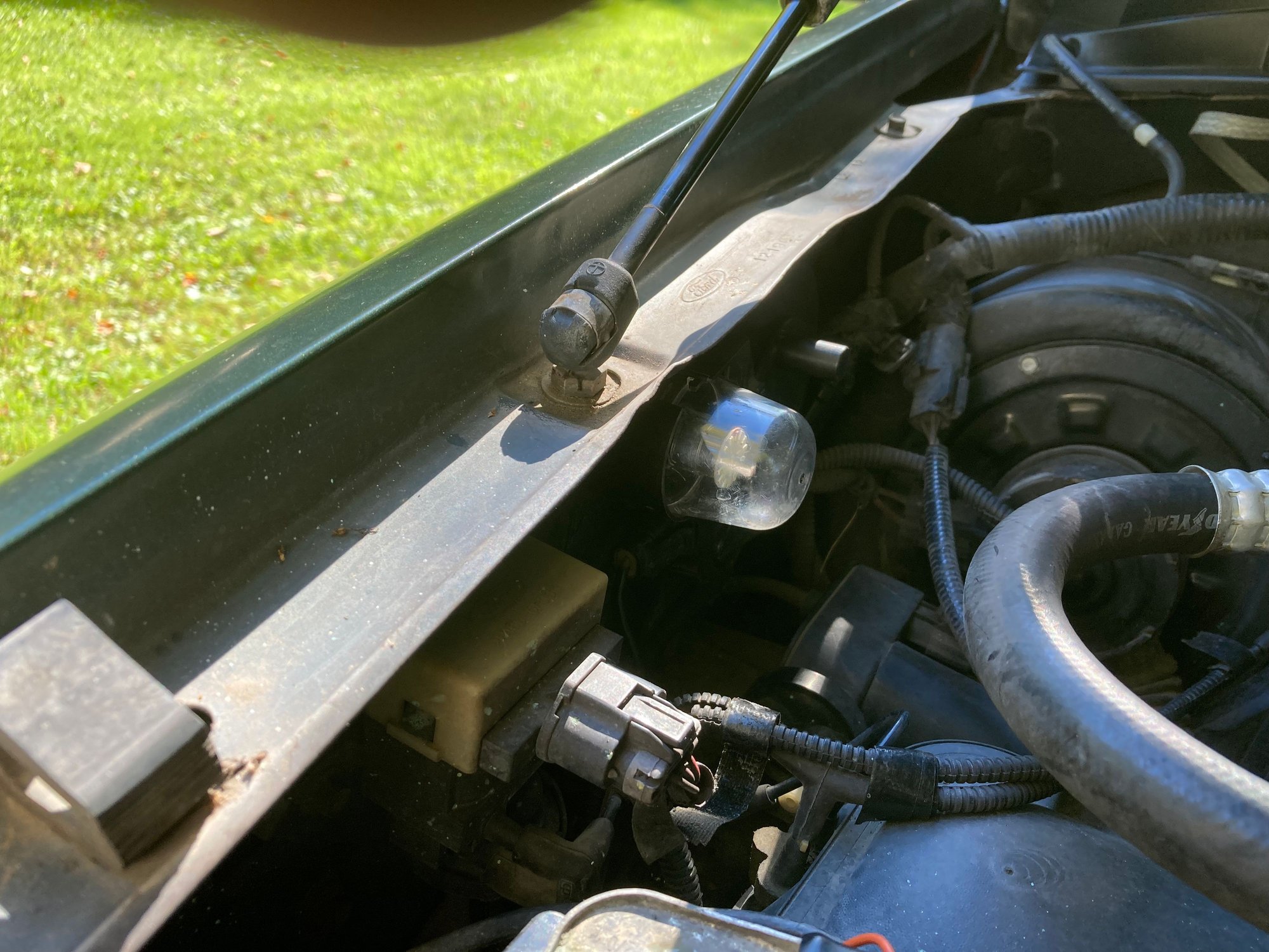 Engine compartment light - Ford Truck Enthusiasts Forums