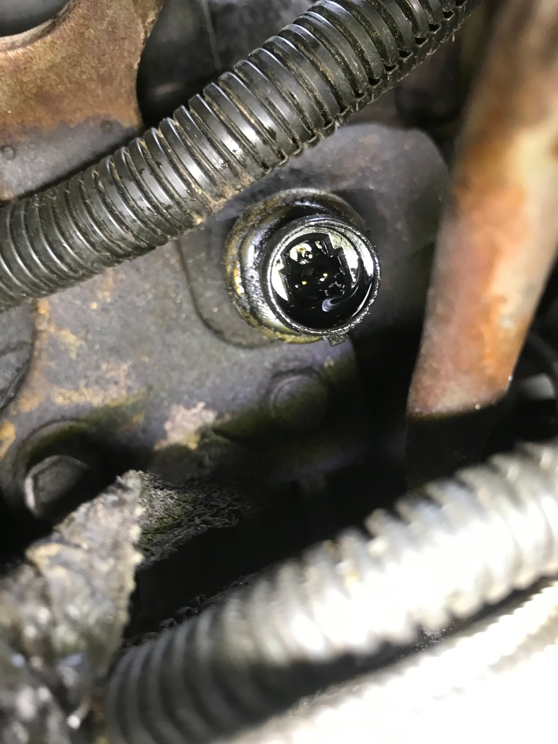 Early 1999 7.3 oil leaks hpop, oil cooler, icp sensor - Ford Truck ...