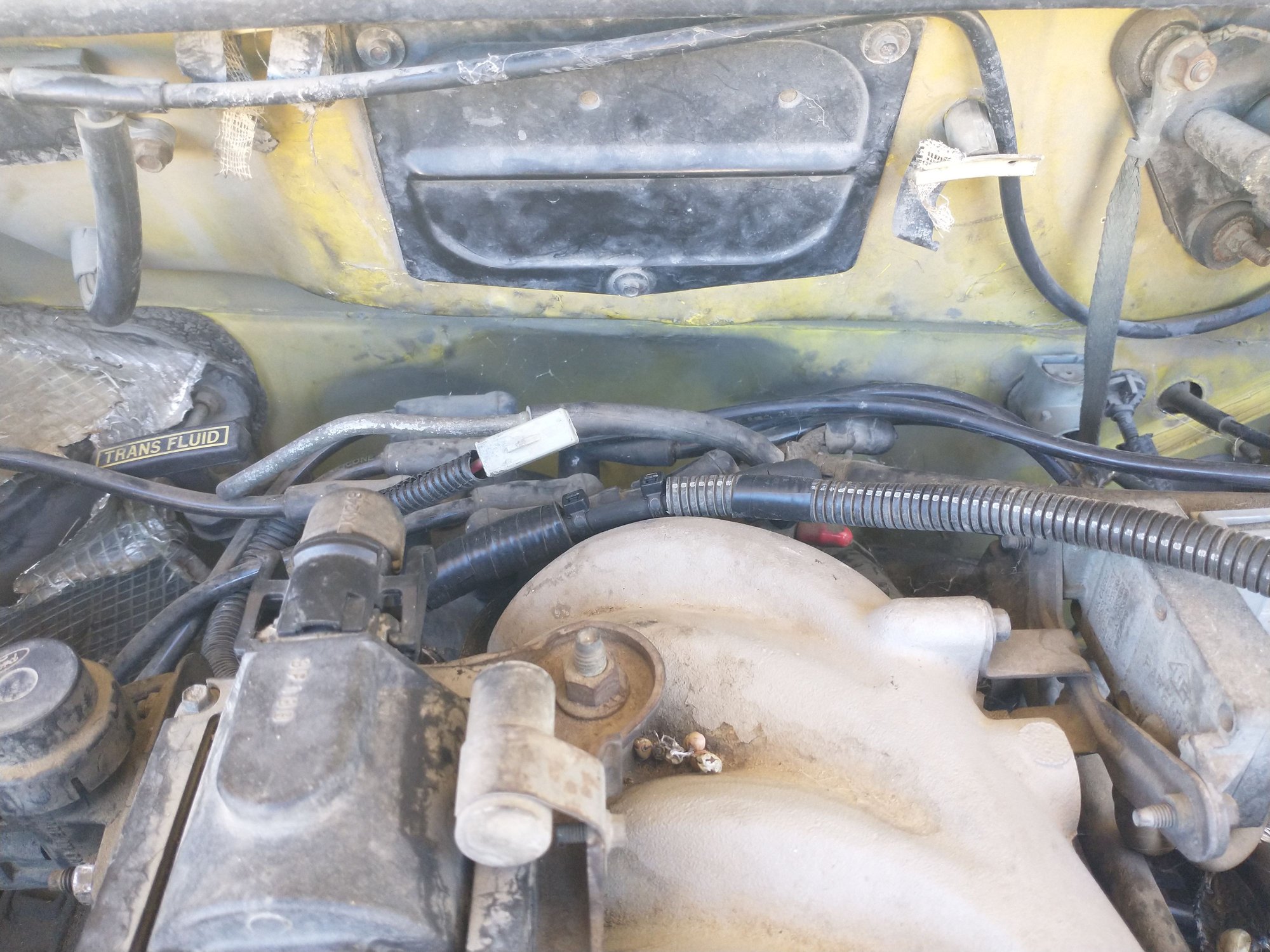 1993 Ford Ranger 3.0L V6 Radio Noise Capacitor Locatrion??? - Ford ...