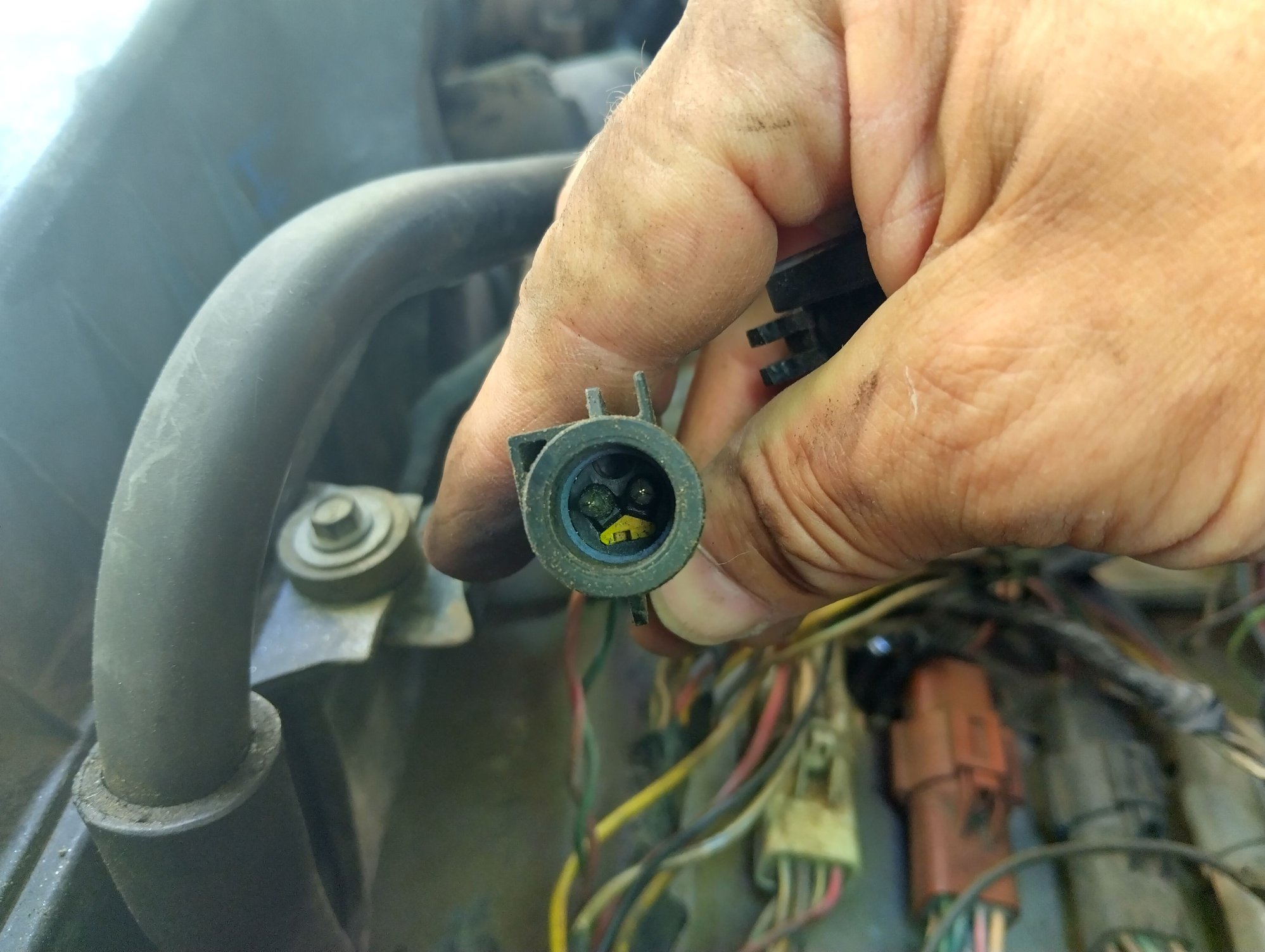 Missing EEC and Random Connector Questions - Ford Truck Enthusiasts Forums