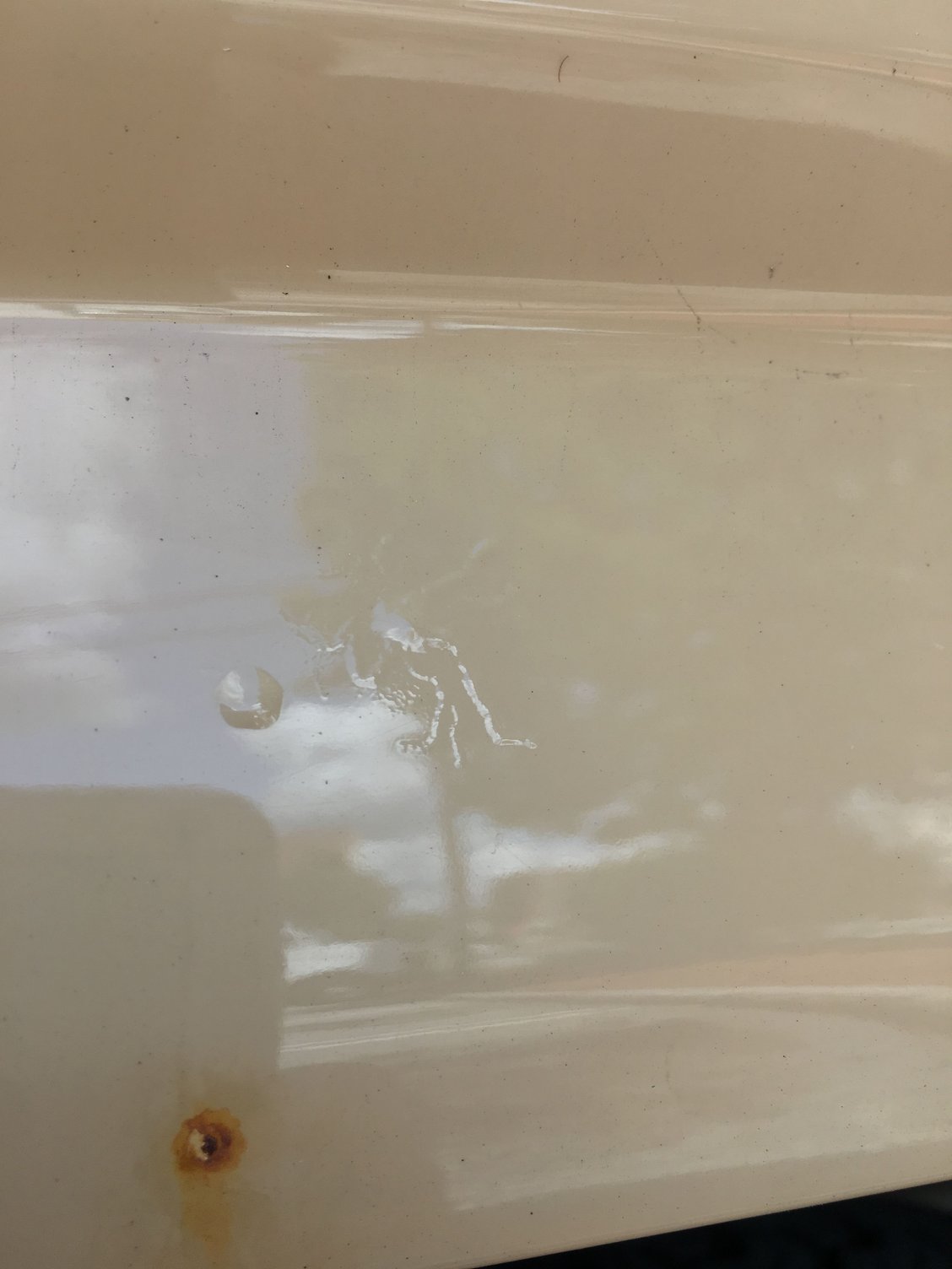 Fender-well rust - it just had to happen. - Ford Truck Enthusiasts Forums