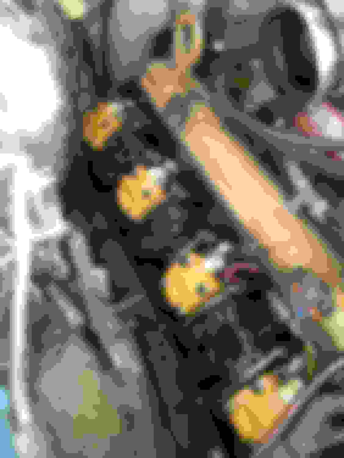 The "Mule" Build - Page 69 - Ford Truck Enthusiasts Forums