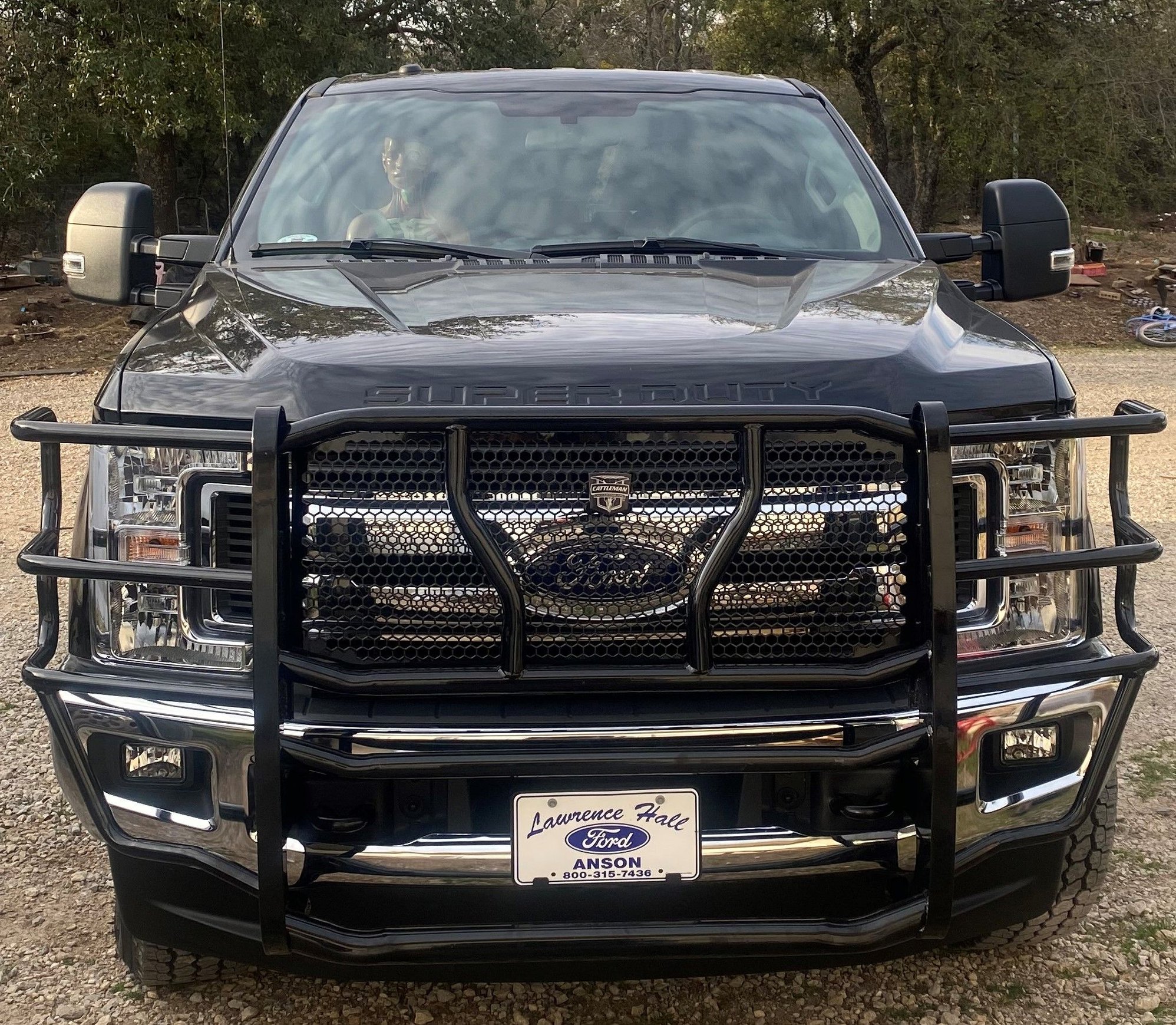 Can we talk Cattle/Deer/Brush/Push grill guards - Page 2 - Ford Truck ...