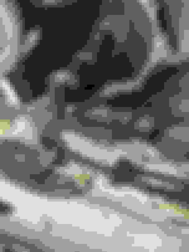 Cam Replacement Help needed - Page 2 - Ford Truck Enthusiasts Forums