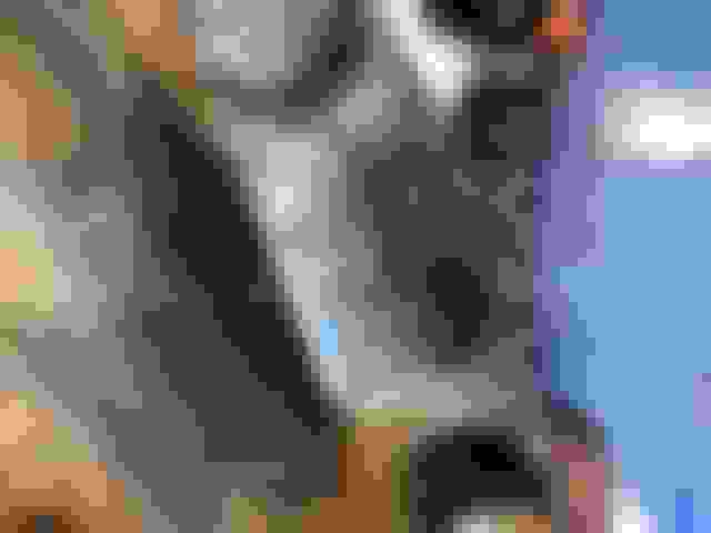 49 F1 Differential tag decode. - Ford Truck Enthusiasts Forums