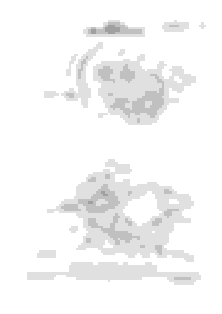 351m clutch pivot bracket - Ford Truck Enthusiasts Forums