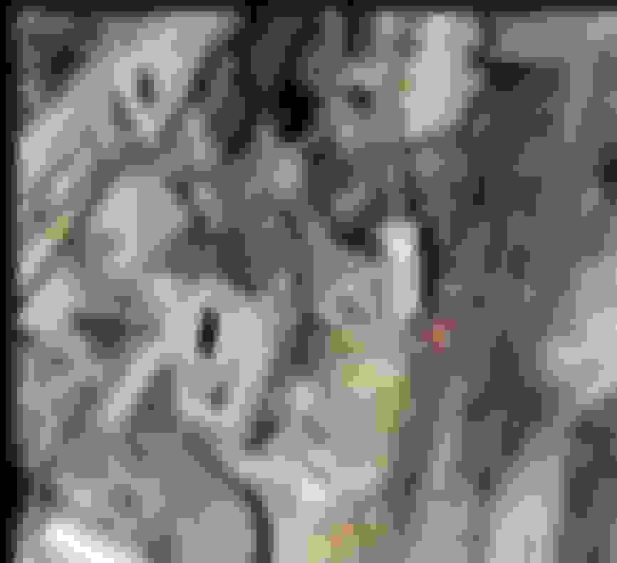 1985 F150 C6 kickdown rod attachment to holley 4160 - Ford Truck ...