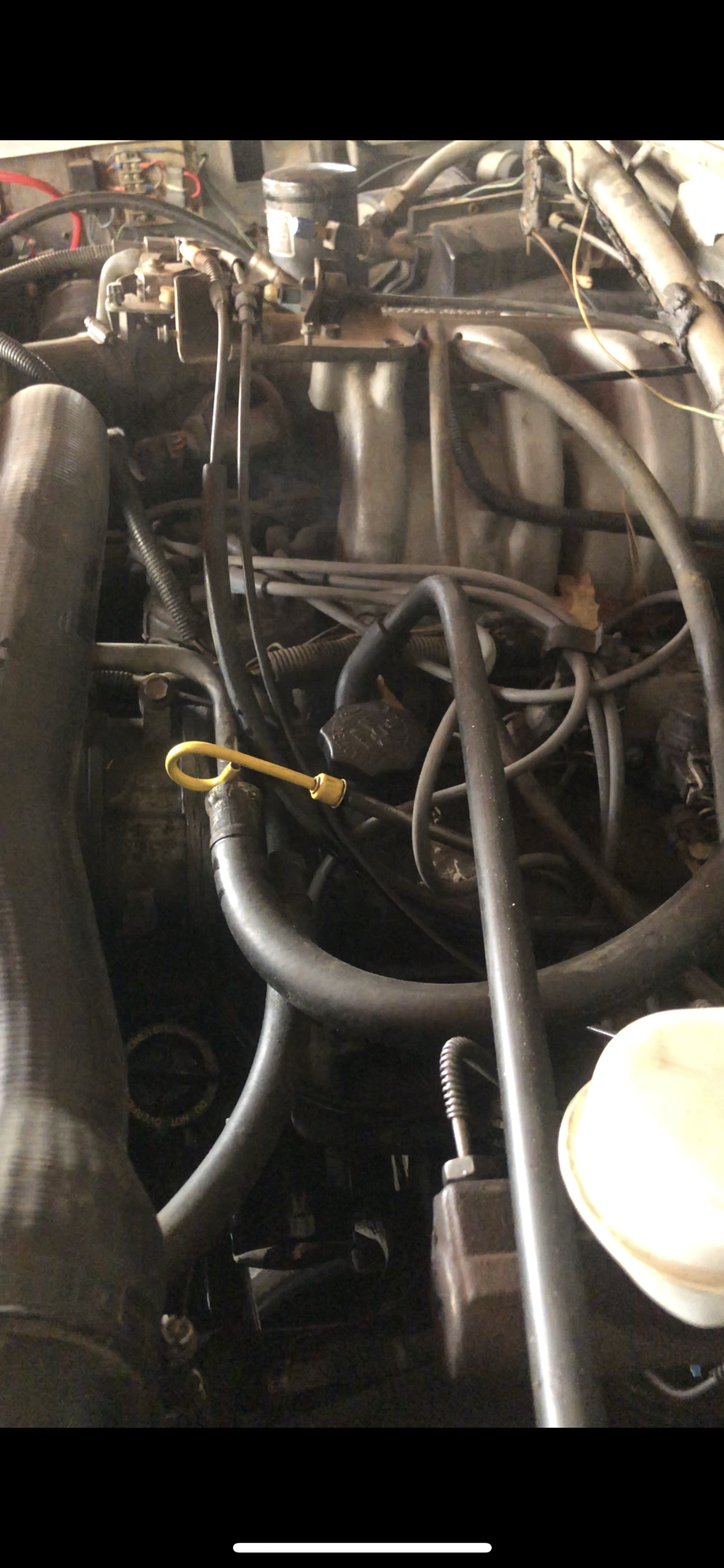 Dipstick - Ford Truck Enthusiasts Forums