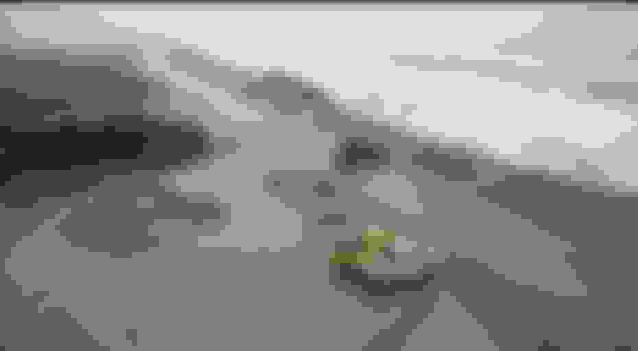 2022 Water Fording Depth - Page 2 - Ford Truck Enthusiasts Forums