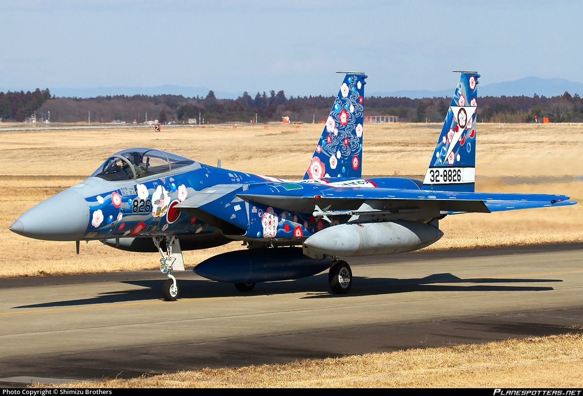 F-15 paint schemes - RCU Forums