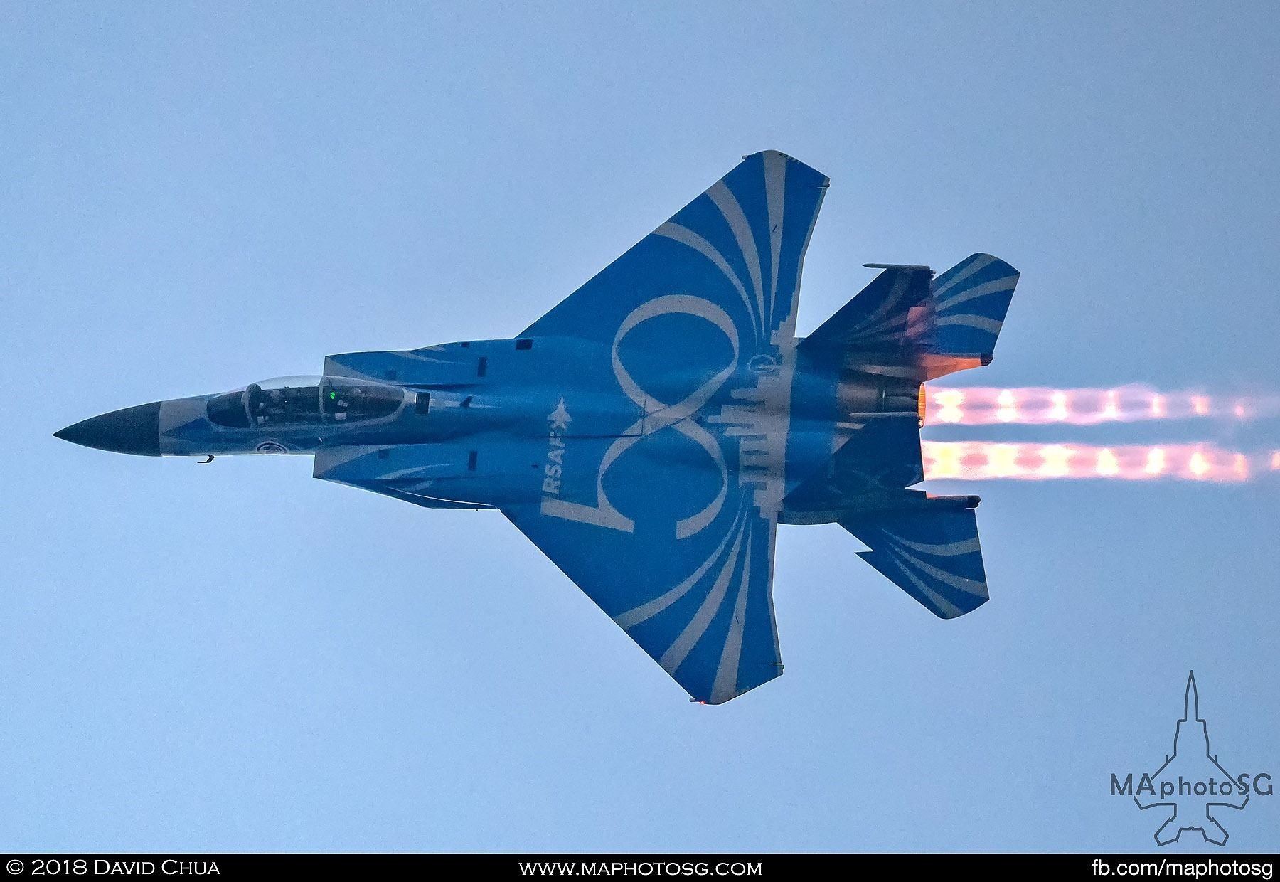 F-15 paint schemes - RCU Forums