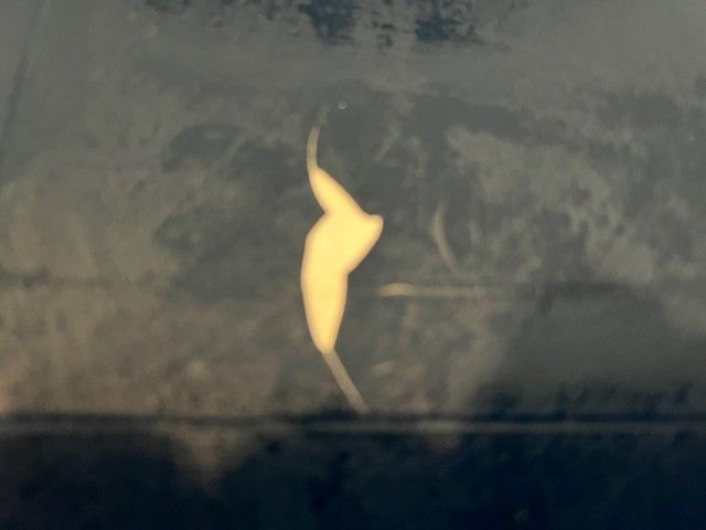 Top RC F4U Corsair Scale RC Plane 93". RTF, $7,000 OBO - RCU Forums