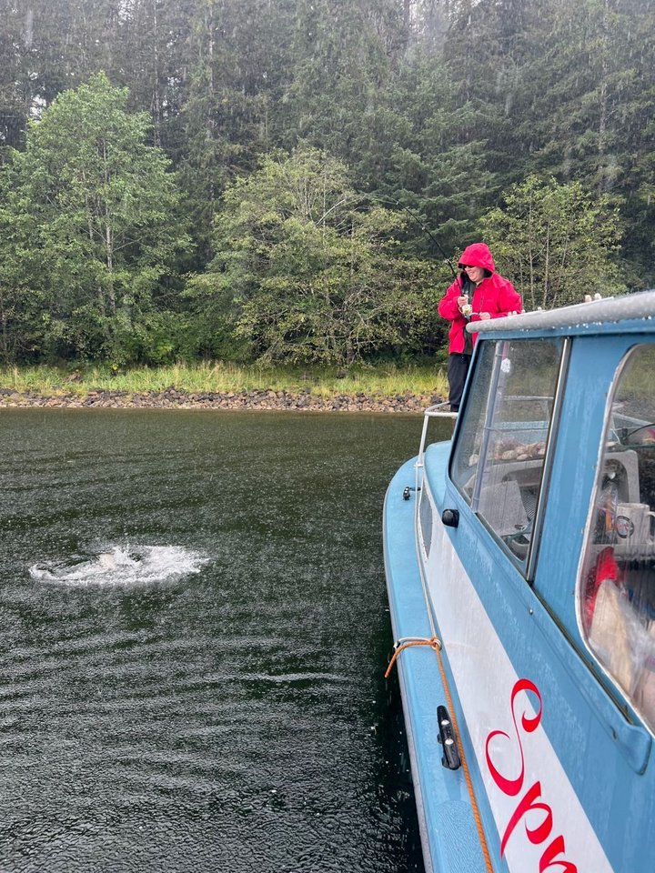 The Hull Truth - Boating and Fishing Forum - View Single Post - Post ...