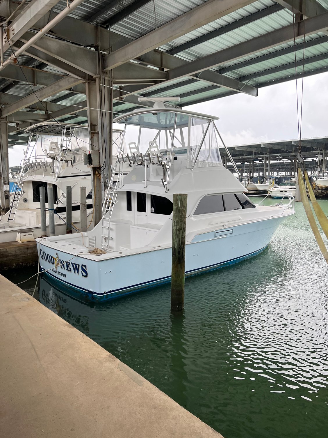 37 Bertram - The Hull Truth - Boating and Fishing Forum