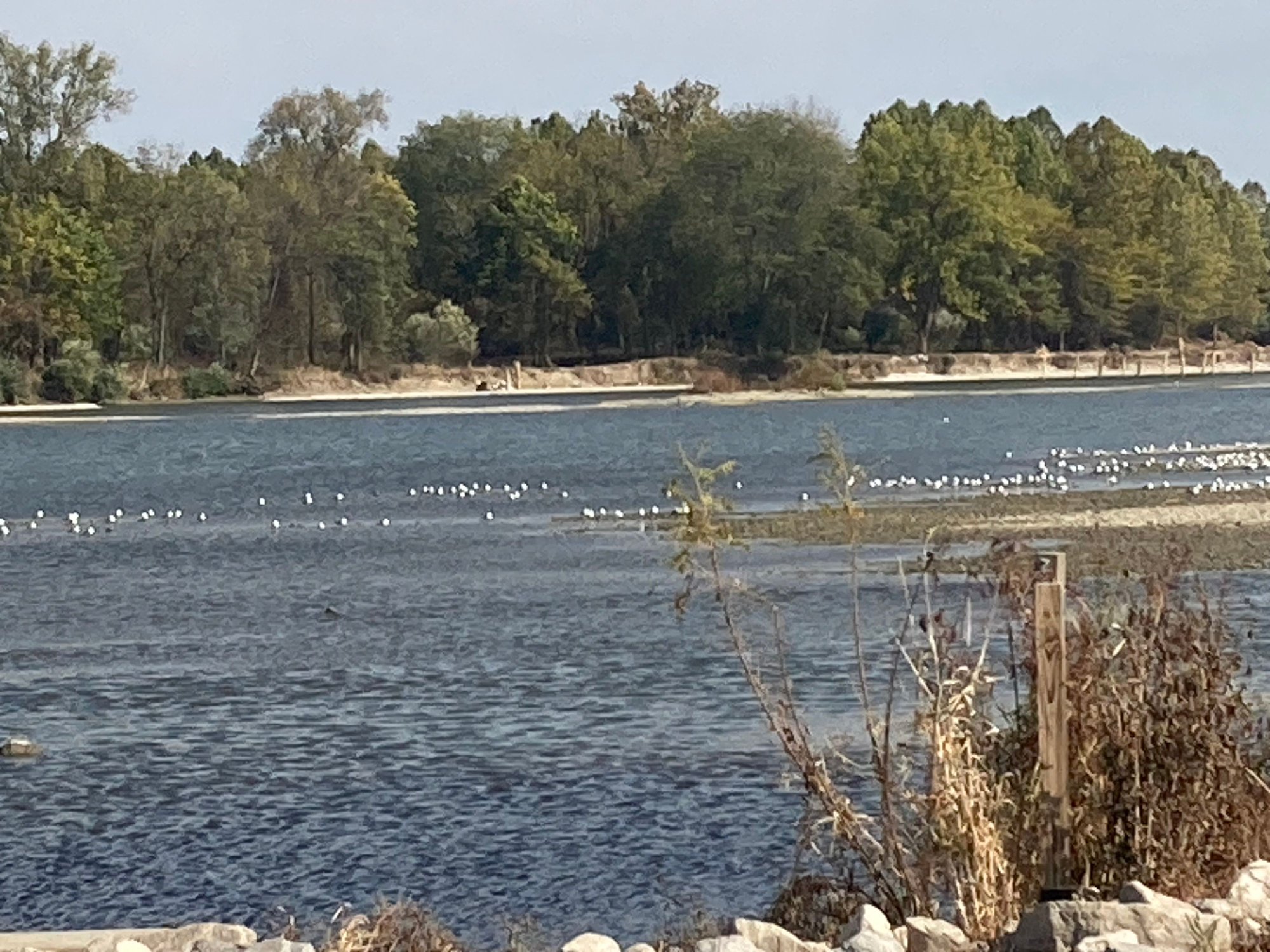 What do I need to buy to add trim/tilt to 40HP Yamaha - The Hull Truth ...