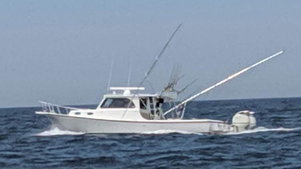 The Hull Truth - Boating and Fishing Forum - Judge 36 Chesapeake outboard