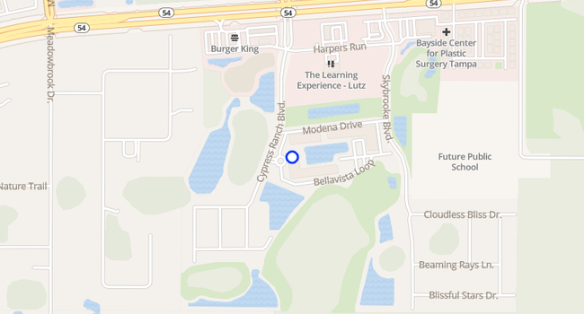Azora at Cypress Ranch - 10 Reviews | Lutz, FL Apartments for Rent ...